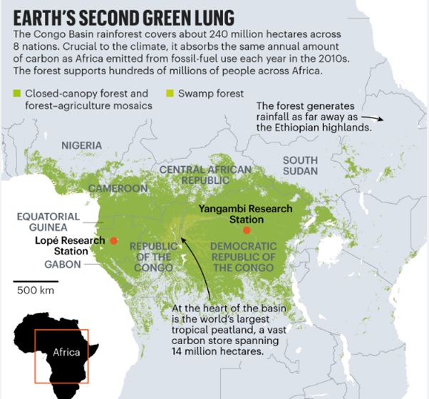 What Is The Location Of The Congo Rainforest - Infoupdate.org